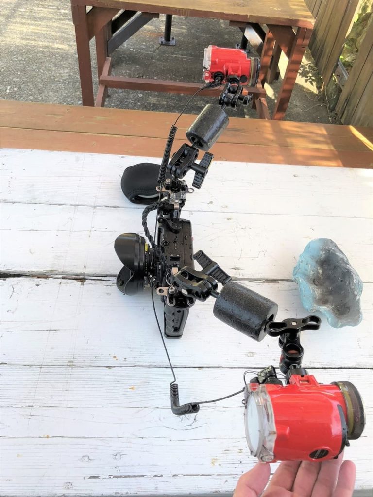 TG4・TG5・TG6でストロボの設定や使いこなし方 | 部長の水中写真と秘密のダイビングログ