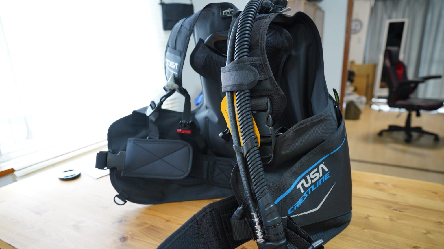 部長の水中写真と秘密のダイビングログ | Underwater photography, Scuba diving